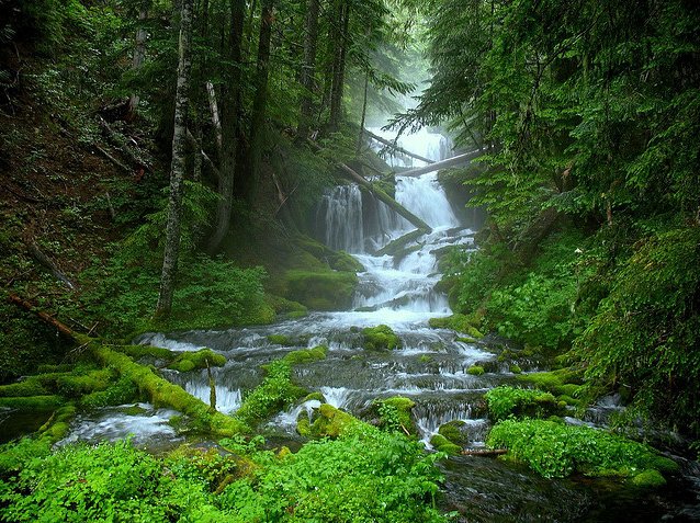 Healthy Water Package for Residences on Wells or Springs